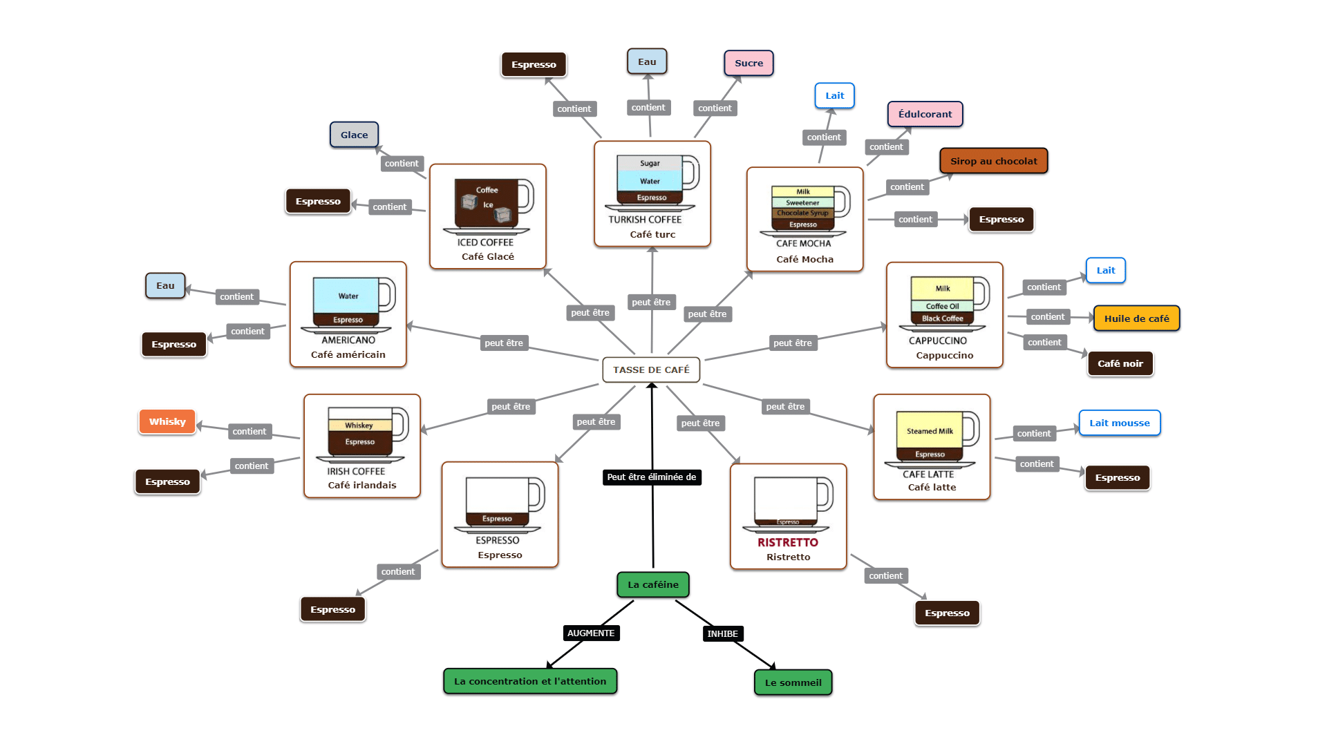 Modèles de carte conceptuelle: visualisez et structurez vos idées!