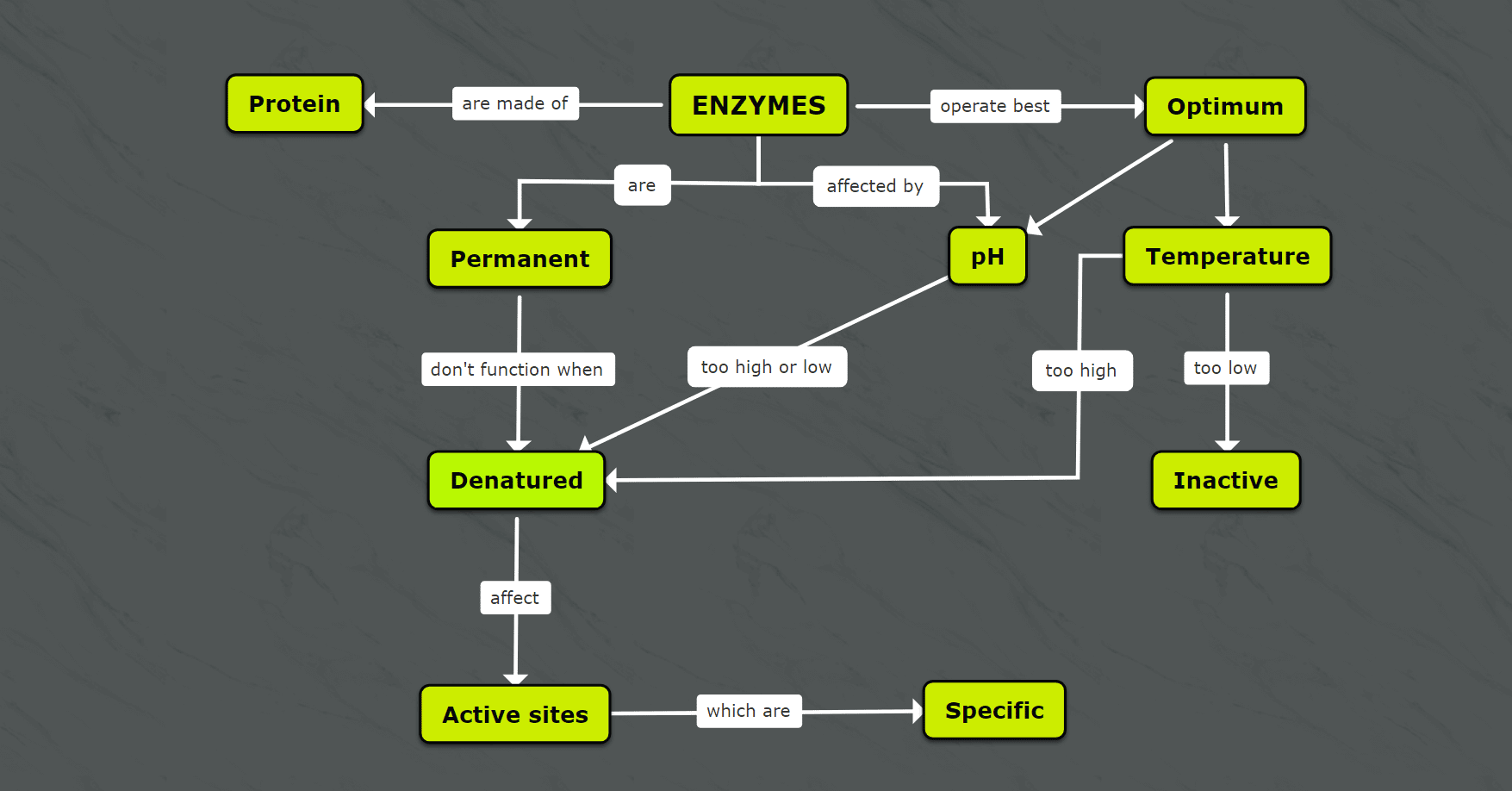 Concept Map Template - Visualize and Structure your Ideas