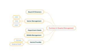 How to Create Your Hospital Organizational Chart in 4 Easy Steps?