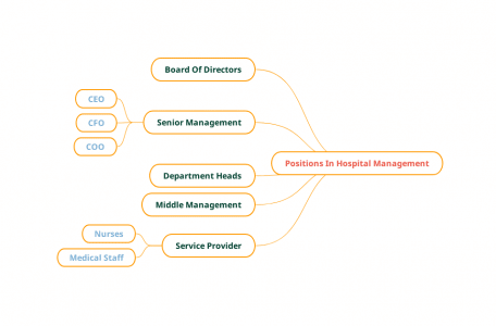 How to Create Your Hospital Organizational Chart in 4 Easy Steps?