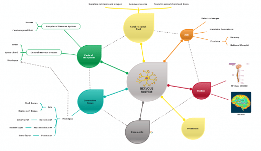 What is Visual Learning? Techniques and Examples