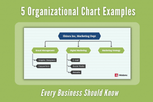 5 Organizational Chart Examples for your Business
