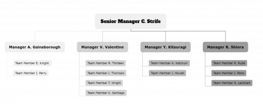 5 Organizational Chart Examples for your Business 5 Organizational Chart Examples for your Business