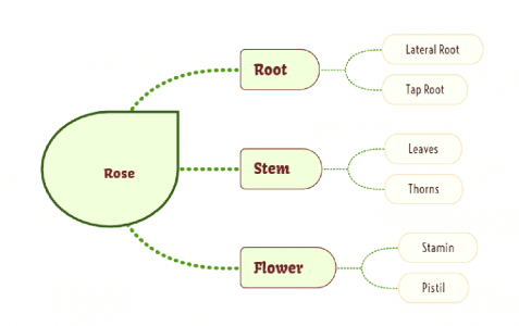 What is a thinking map? Types and Examples