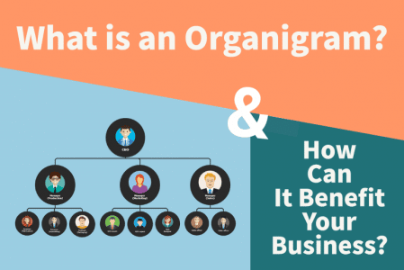 What is an Organigram and How to Use it for Your Business?
