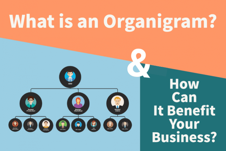 What is an Organigram and How to Use it for Your Business?