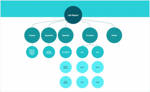 10 Effective Mind Maps for Students & Teachers