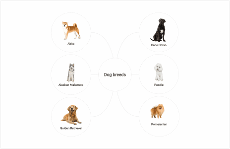 Learn Everything about Bubble Maps and Create Them Online