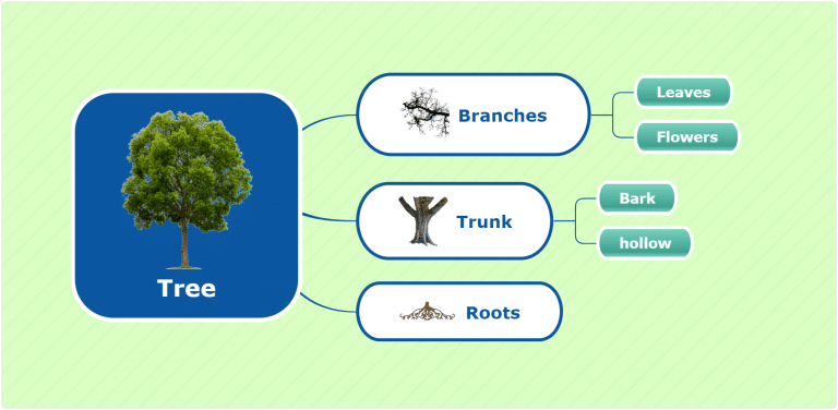The 9 Most Used Mind Map Types + Templates