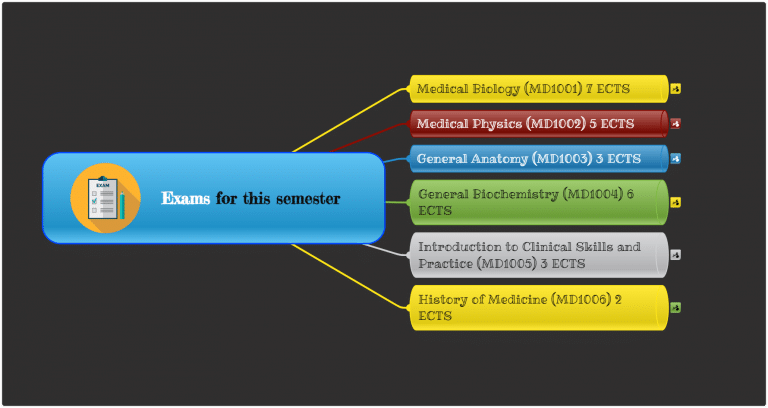 How to Prepare for Exams - 6 Tips for Smart Students