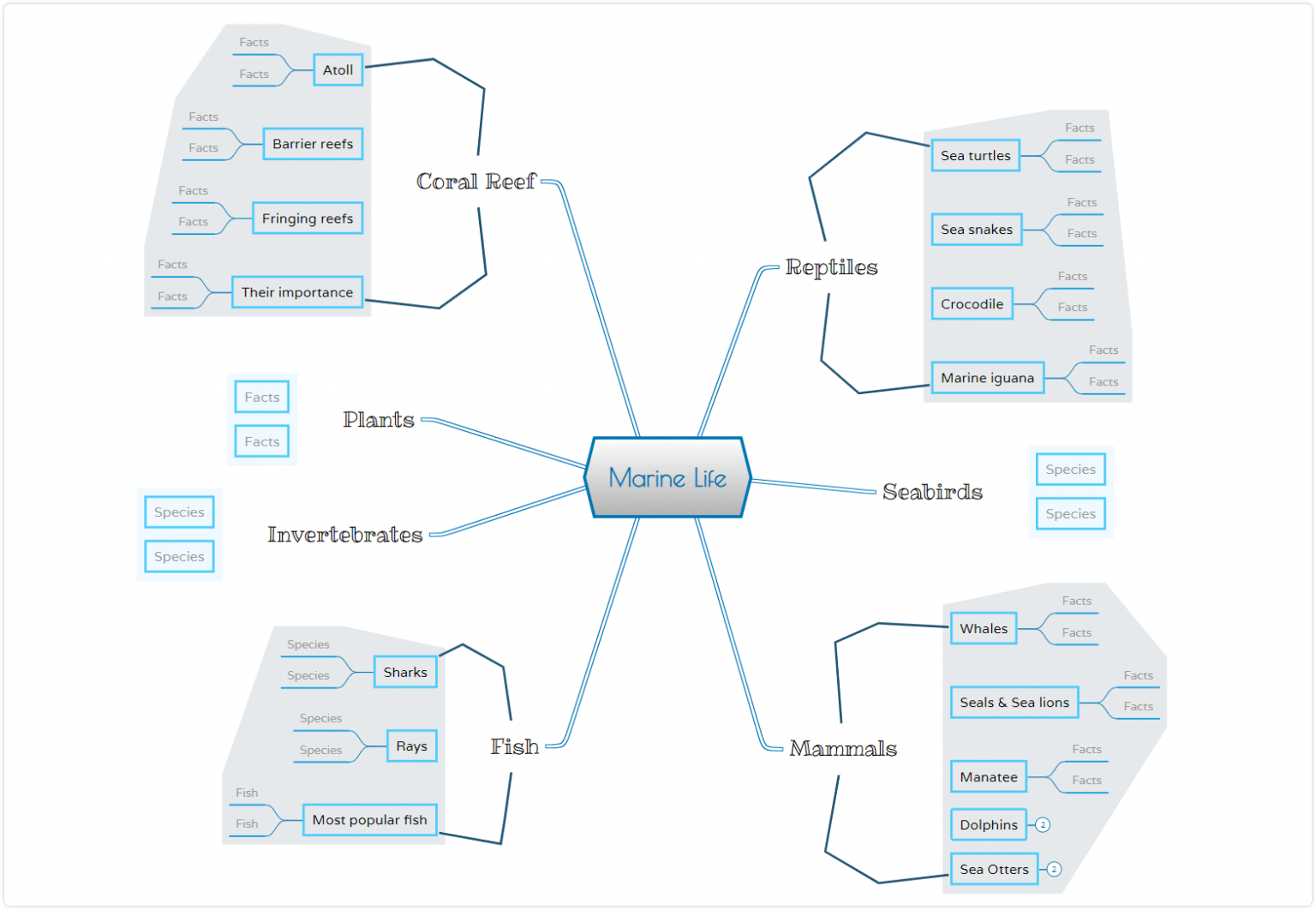 How to Retain Information using Mind Maps - Best Tips