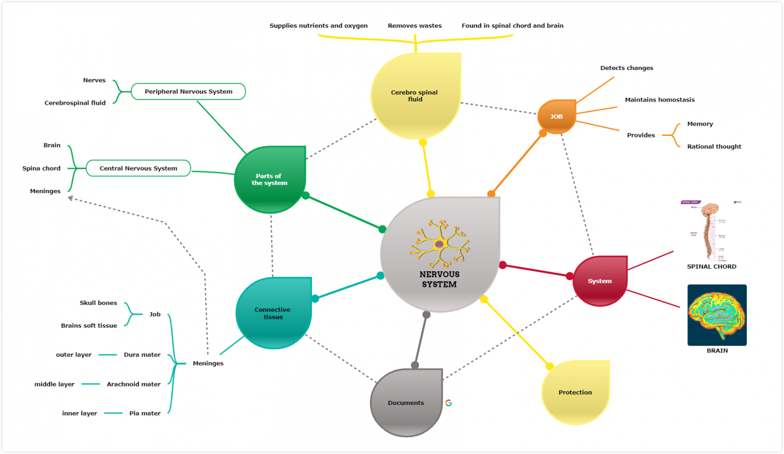 How to Retain Information using Mind Maps - Best Tips