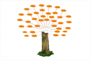 Cluster Diagrams: Understanding Relationships and Connections