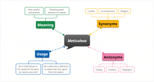 Mind Maps for English Fluency: Effective Learning Strategies