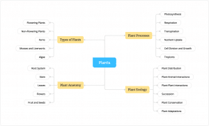 Science Mind Maps: Boost Learning and Research