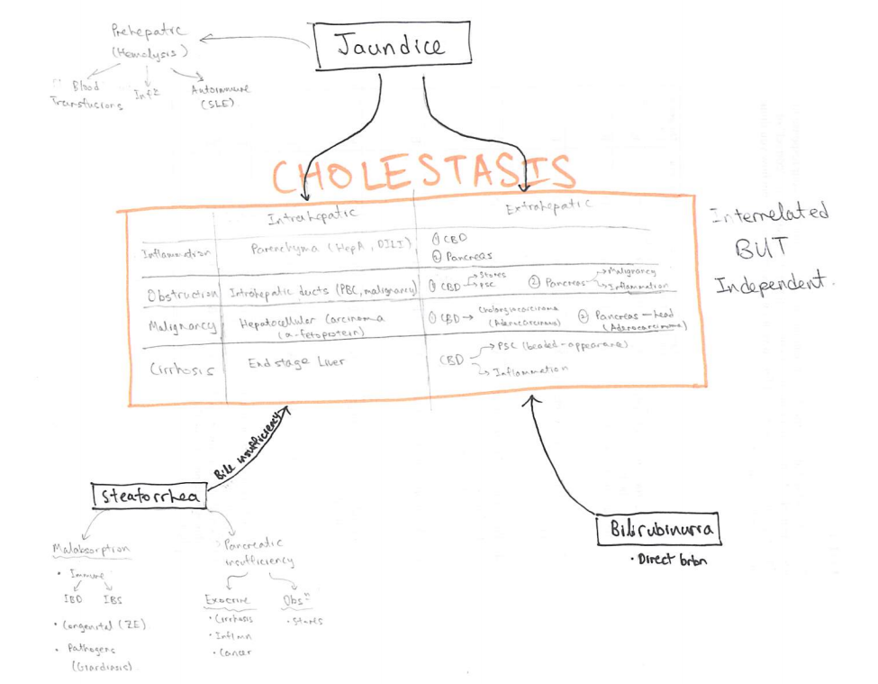 4. GIT OSCE - Mind Map