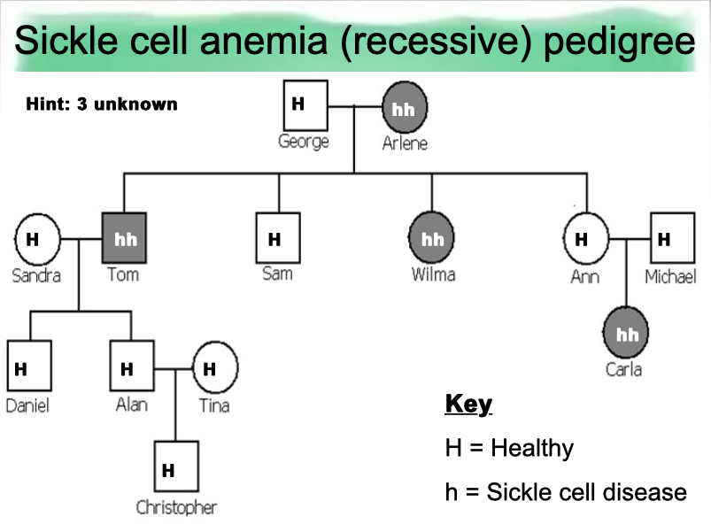 Sickle Cell Anemia Chart