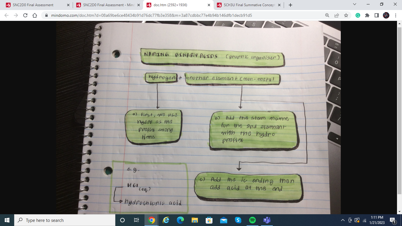 SCH3U Final Summative Concept Map - Mind Map
