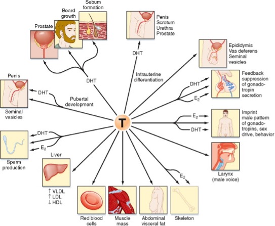 Graves' Disease - Mind Map