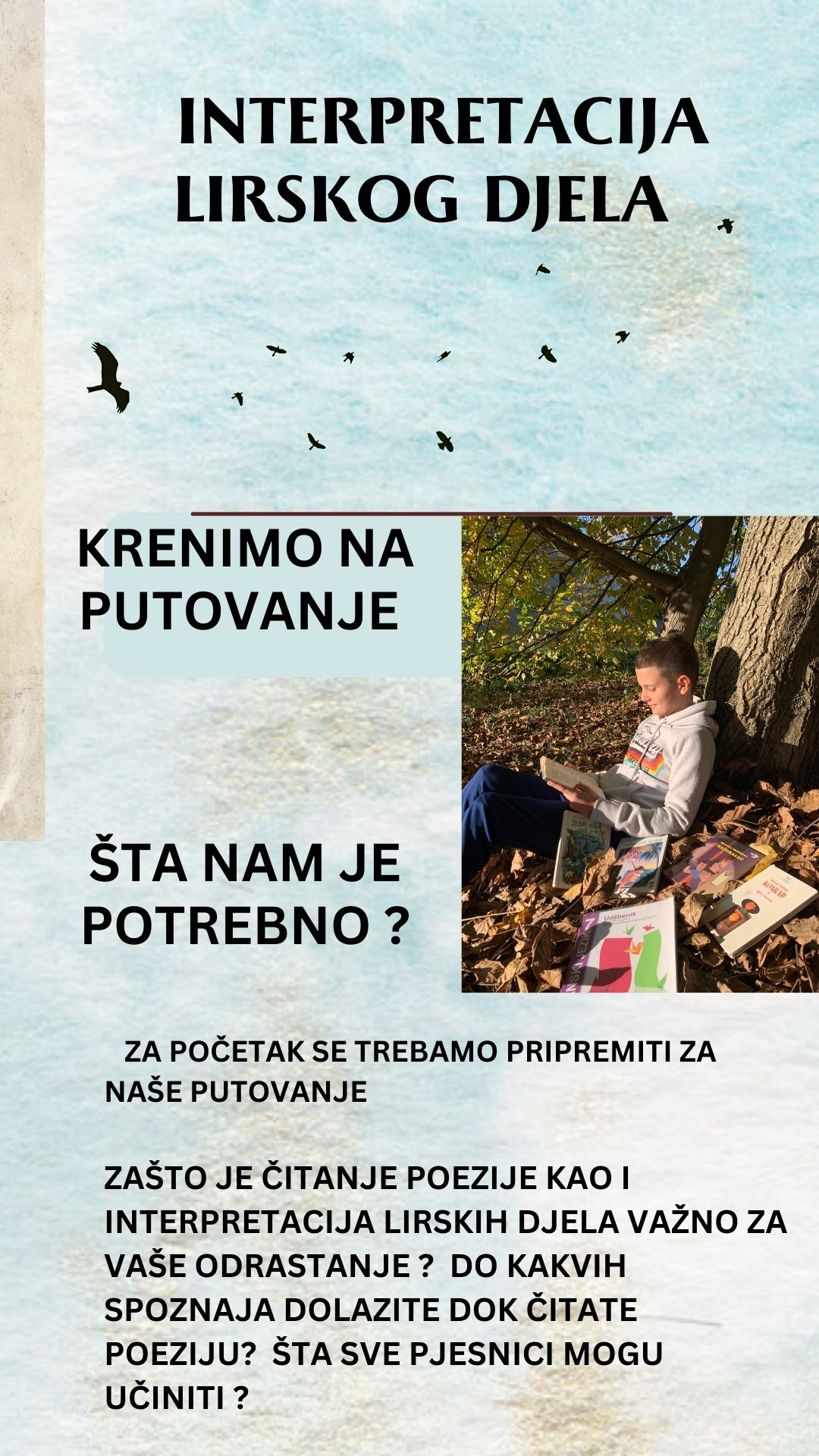 interpretacija lirske pjesme - Mind Map