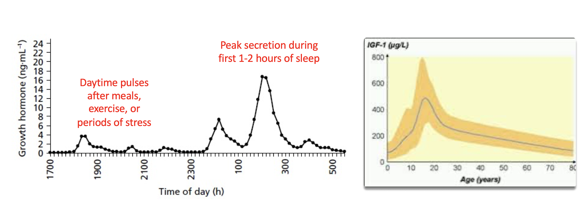 PITUITARY DISORDERS - Mind Map