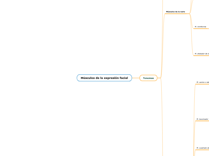 Músculos de la expresión facial - Mind Map
