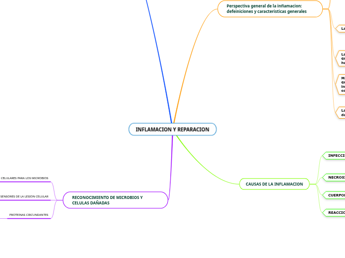 INFLAMACION Y REPARACION - Mind Map