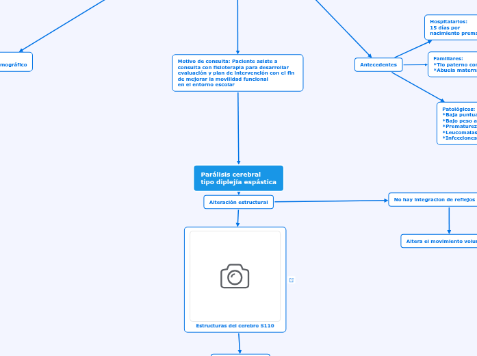 ejercicio 2 caso clinico - Mind Map