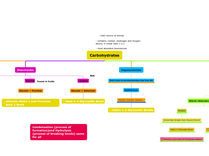 Carbohydrates - Mind Map