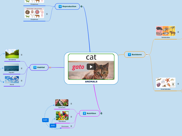 ANIMALS - Mind Map