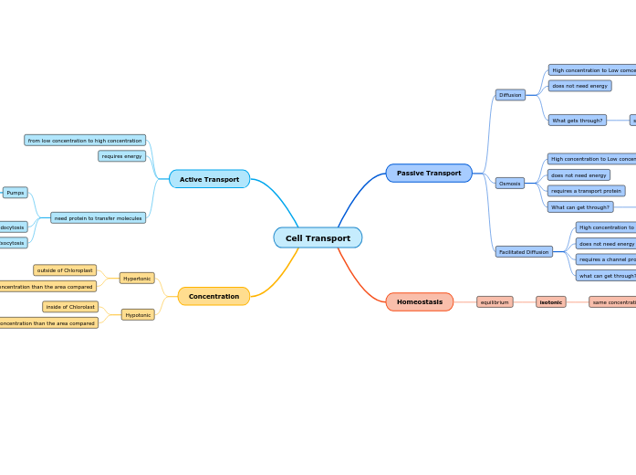 Cell Transport - Mind Map