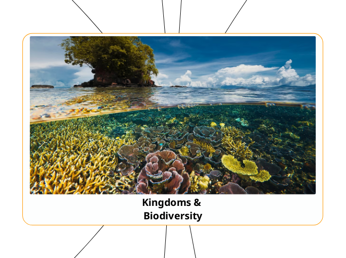 Kingdoms & Biodiversity - Mind Map