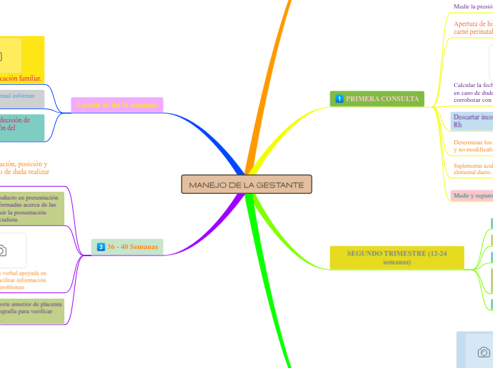 MANEJO DE LA GESTANTE - Mind Map