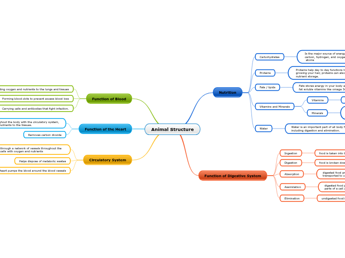 Animal Structure - Mind Map