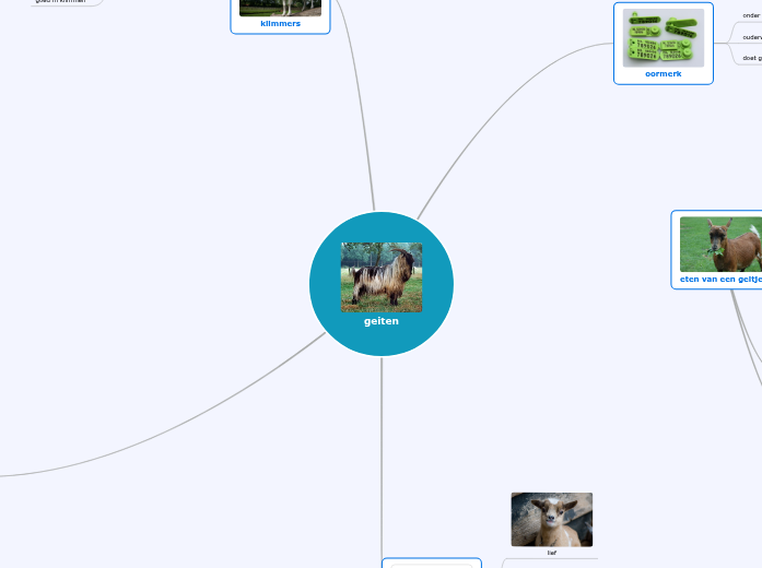geiten - Mind Map