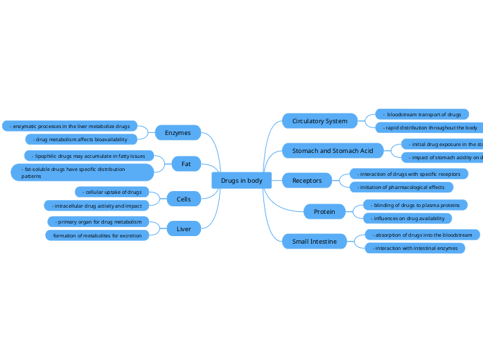 Drugs in body - Mind Map