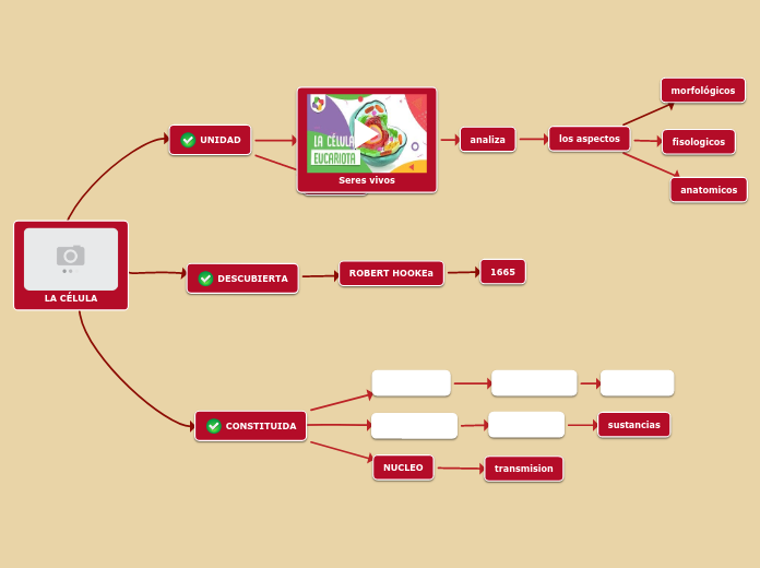 LA CÉLULA - Mind Map
