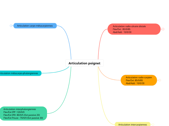 Articulation poignet - Mind Map