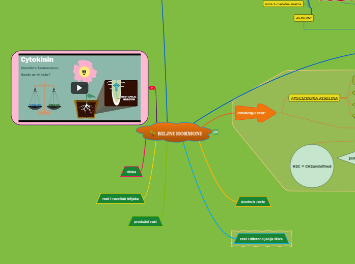 BILJNI HORMONI - Mind Map