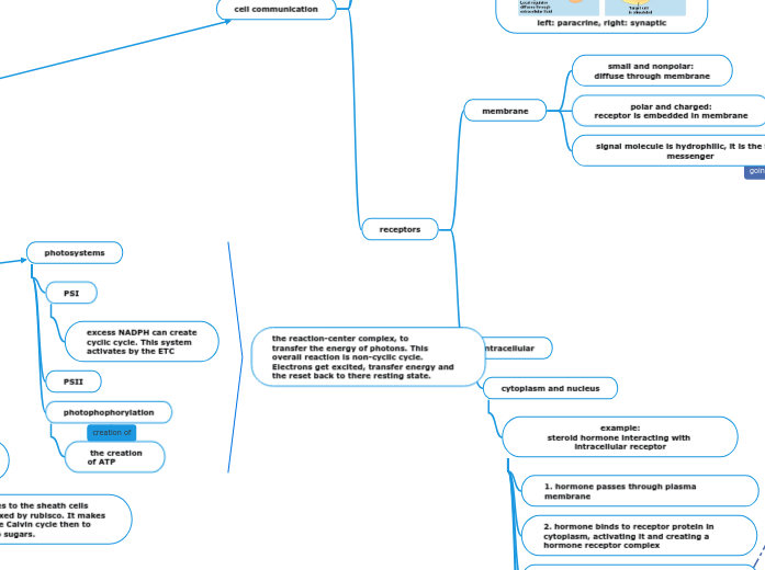 Energy and Cell Communication - Mind Map
