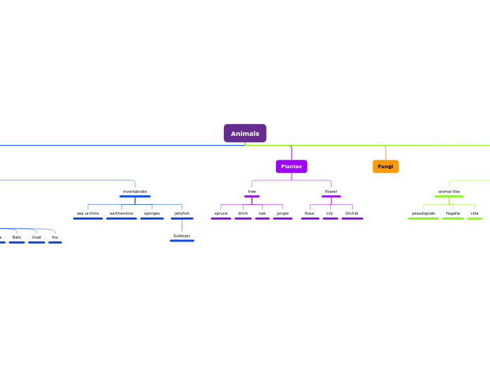 Animals - Mind Map