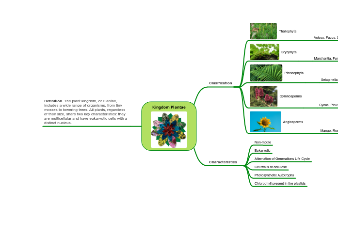 Kingdom Plantae - Mind Map