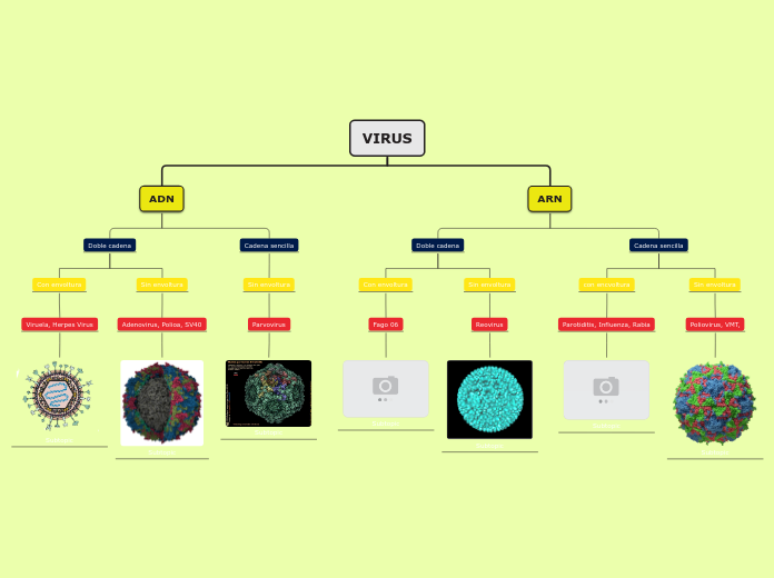 VIRUS - Mind Map