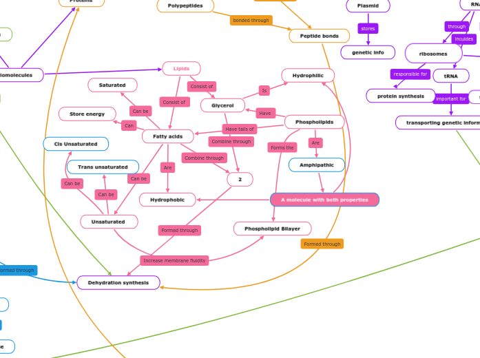 2 - Mind Map