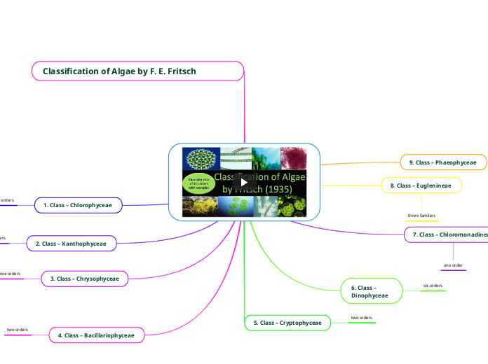 Botany - Mind Map