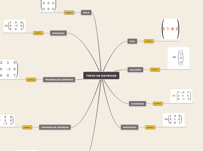 TIPOS DE MATRICES - Mind Map