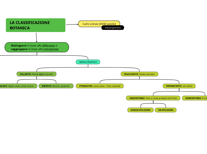 Mappa Mentale - Mind Map