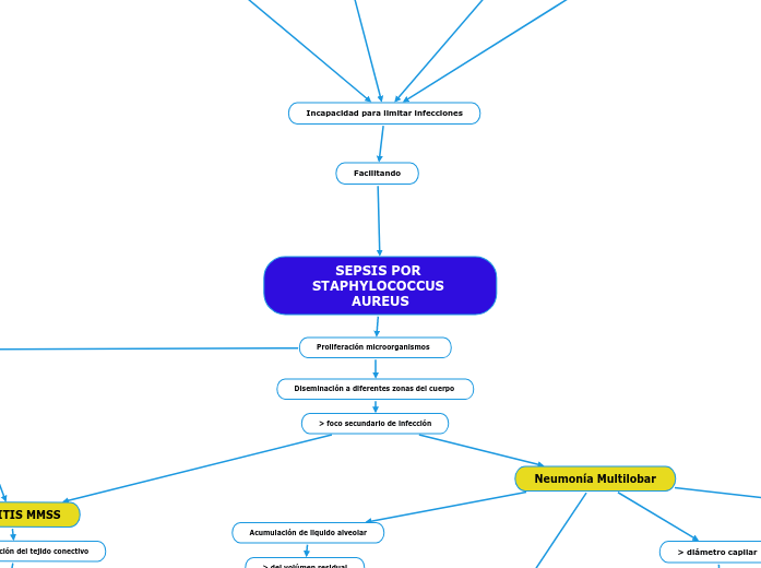 SEPSIS POR STAPHYLOCOCCUS AUREUS - Mind Map
