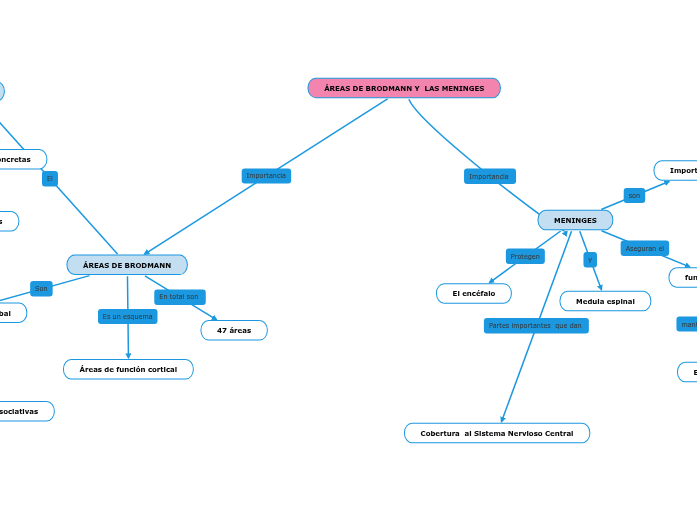 ÁREAS DE BRODMANN Y LAS MENINGES - Mind Map