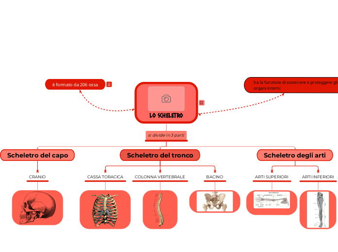 LO SCHELETRO - Mappa Mentale